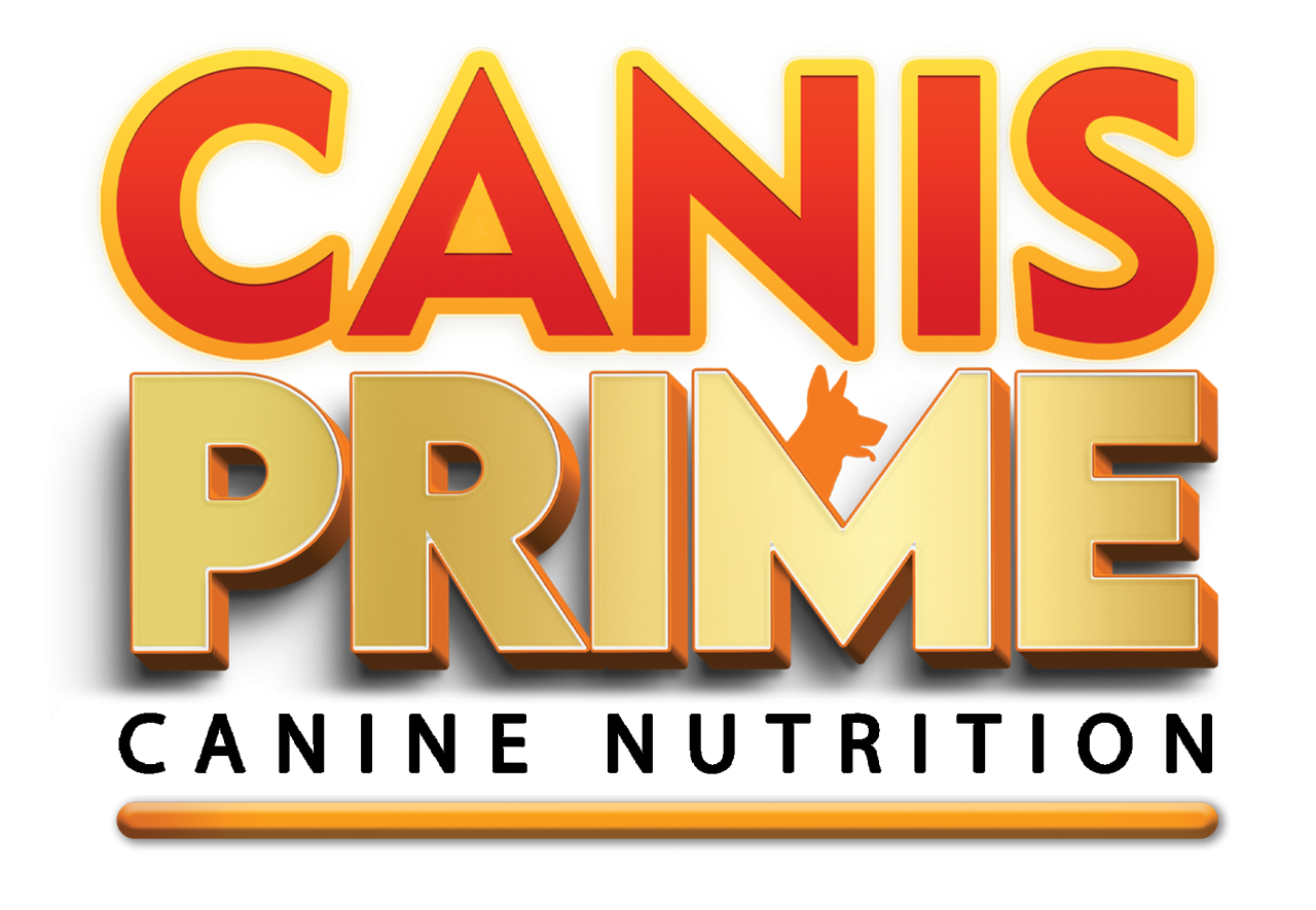 Adopt - Canis Prime